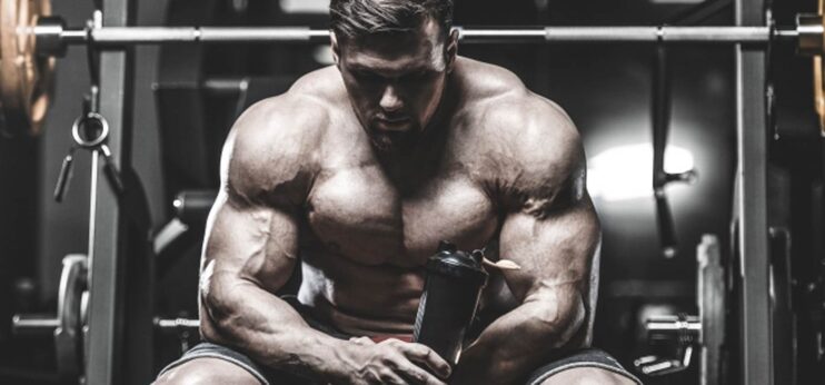Perfection in Bodybuilding - Chest Workouts